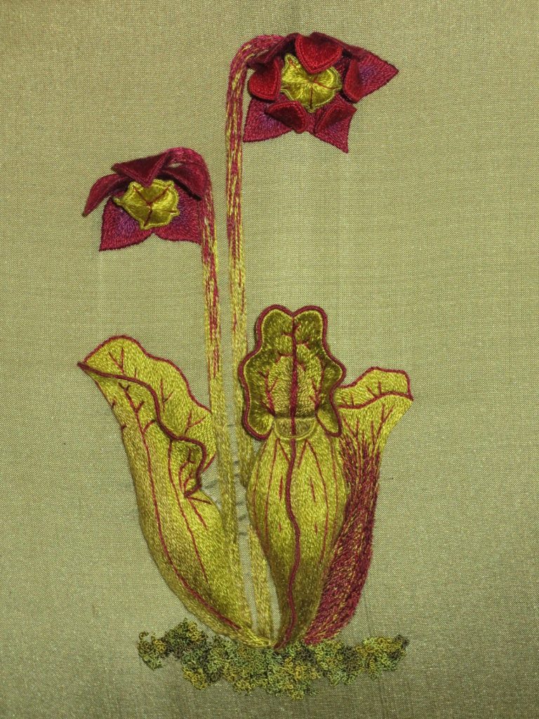 Stumpwork Kits Archives - ALISON COLE EMBROIDERY