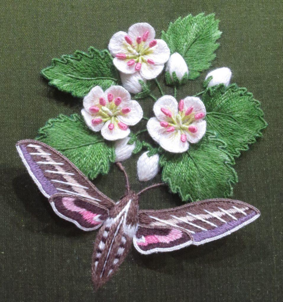 Stumpwork Kits Archives - ALISON COLE EMBROIDERY